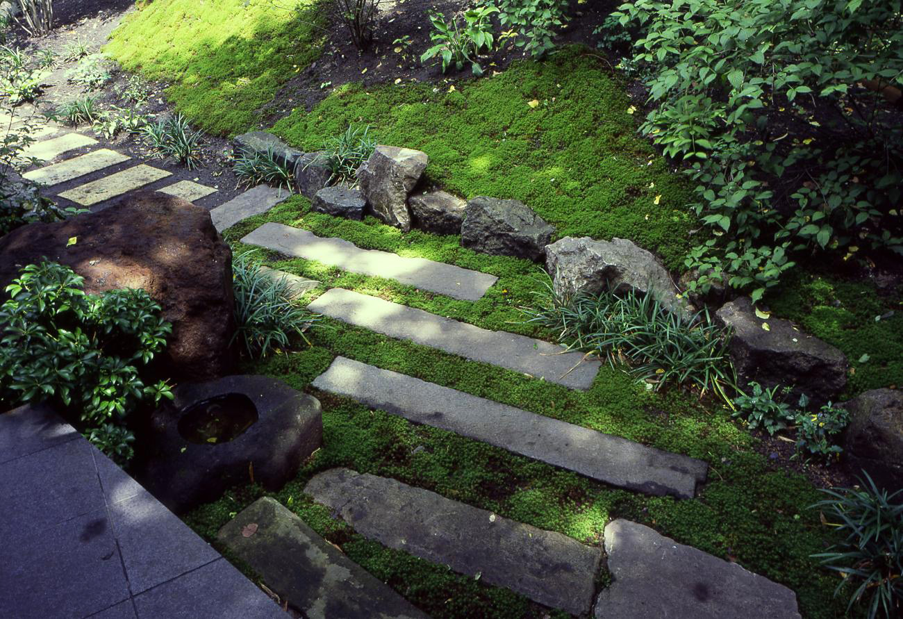 milligram architectural studio